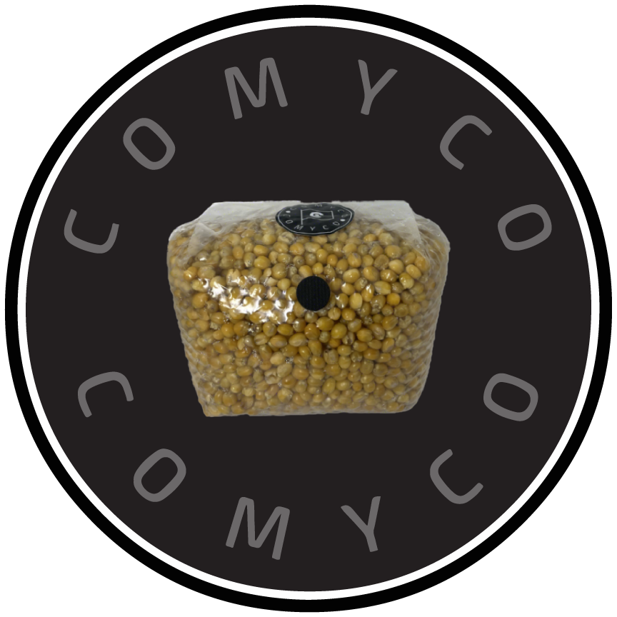 Comyco: Discover the Best Mushroom Grain Spawn – CoMyCo